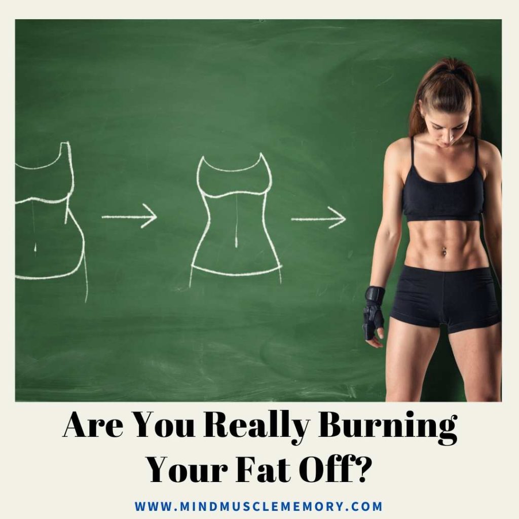 Discover Fat Burning Science Of Exercise M3 Fit Discover Fat Burning Science Of Exercise M3 Fit